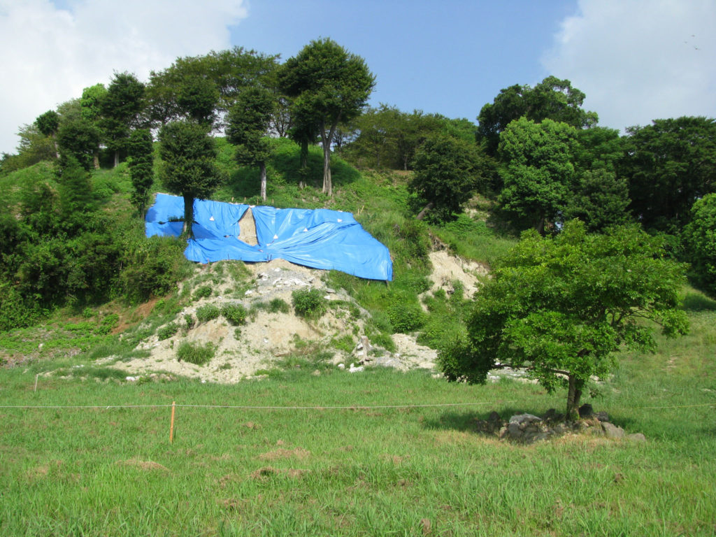 Hinoe Castle Ruins | Japan KYUSHU Tourist | Travel Agency in Fukuoka ...