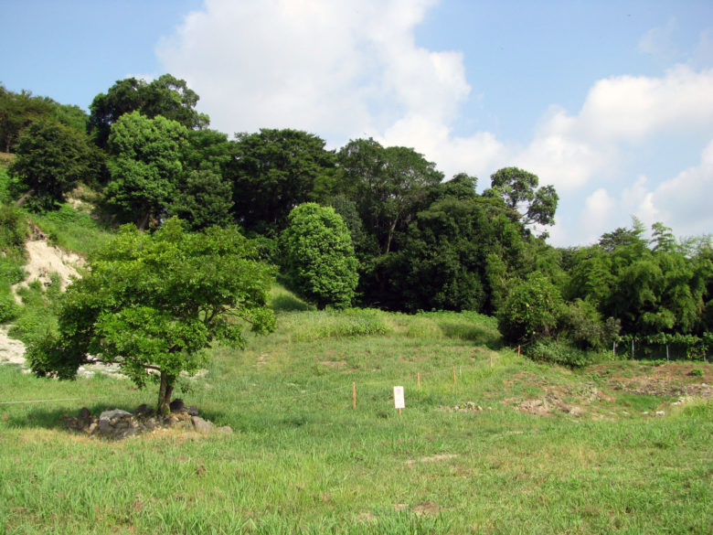 Hinoe Castle Ruins | Japan KYUSHU Tourist ジャパン九州ツーリスト株式会社