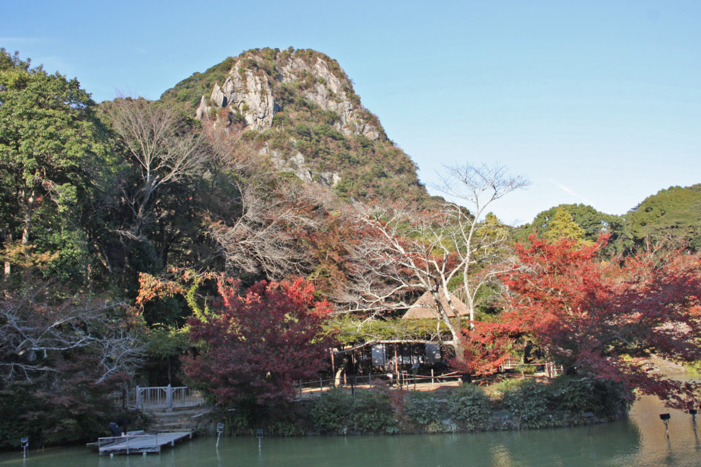 Flower Garden | Japan KYUSHU Tourist ジャパン九州ツーリスト株式会社