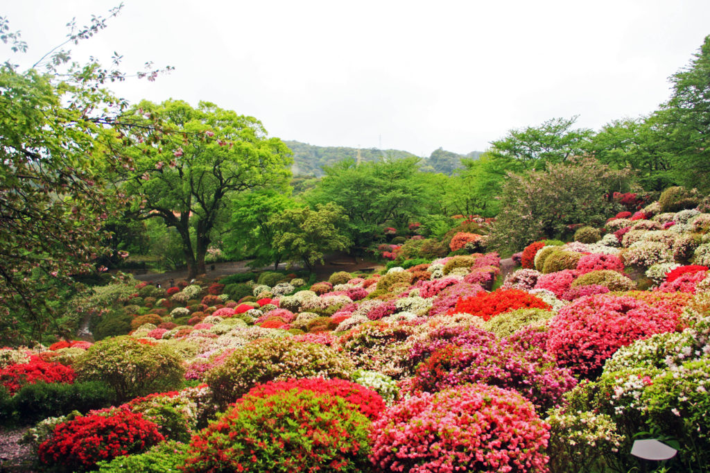 Takeo & Arita & Imari | Japan KYUSHU Tourist ジャパン九州ツーリスト株式会社