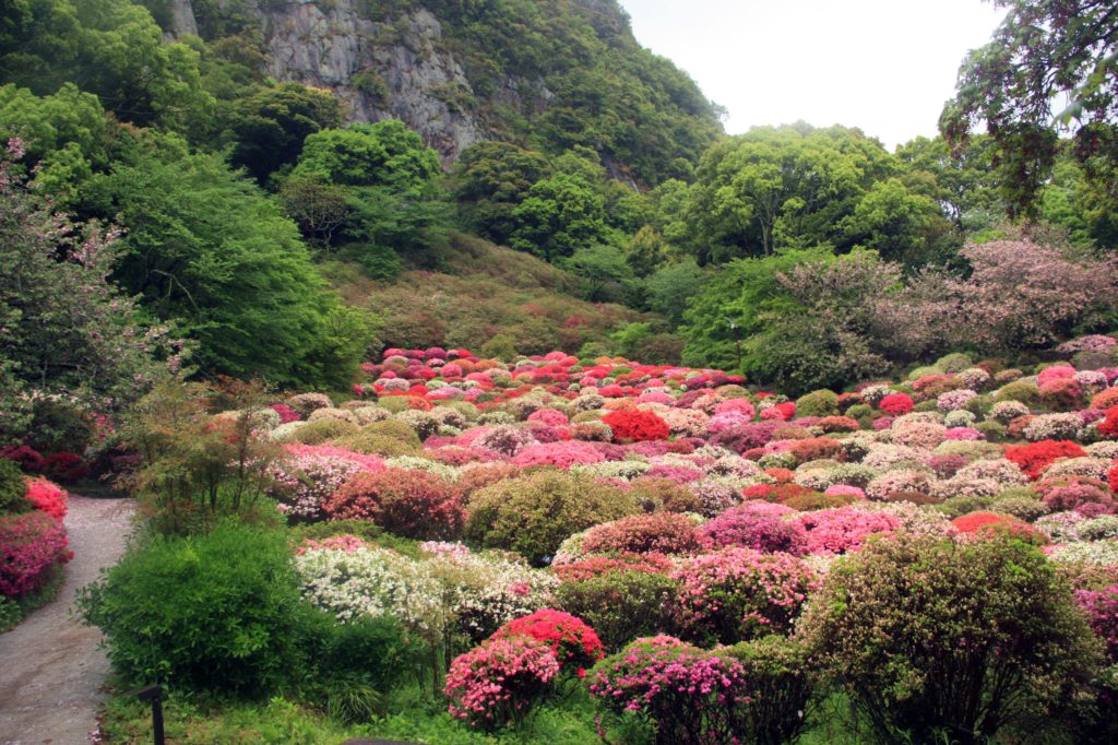 Flower Garden | Japan KYUSHU Tourist ジャパン九州ツーリスト株式会社