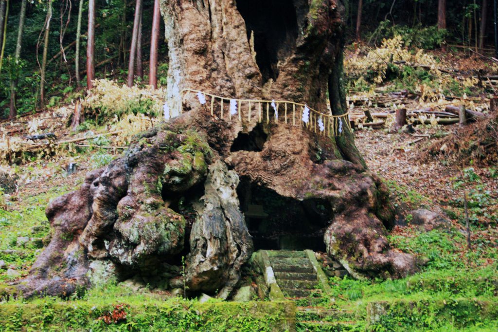 Takeo & Arita & Imari | Japan KYUSHU Tourist ジャパン九州ツーリスト株式会社