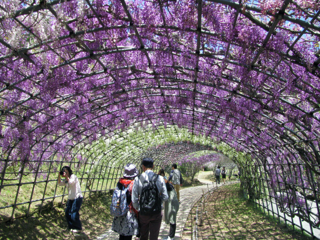 Kitakyushu travel guide | Japan KYUSHU Tourist ジャパン九州ツーリスト株式会社