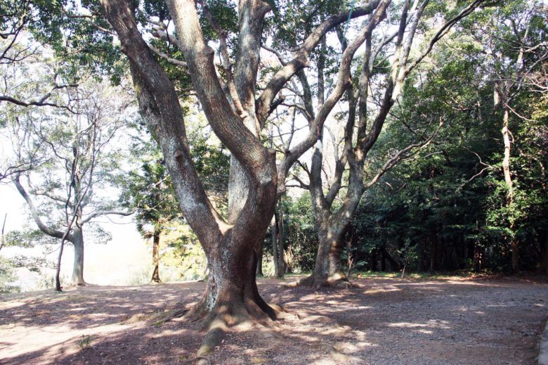 Takamiya Saijo | Japan KYUSHU Tourist | Travel Agency in Fukuoka ...