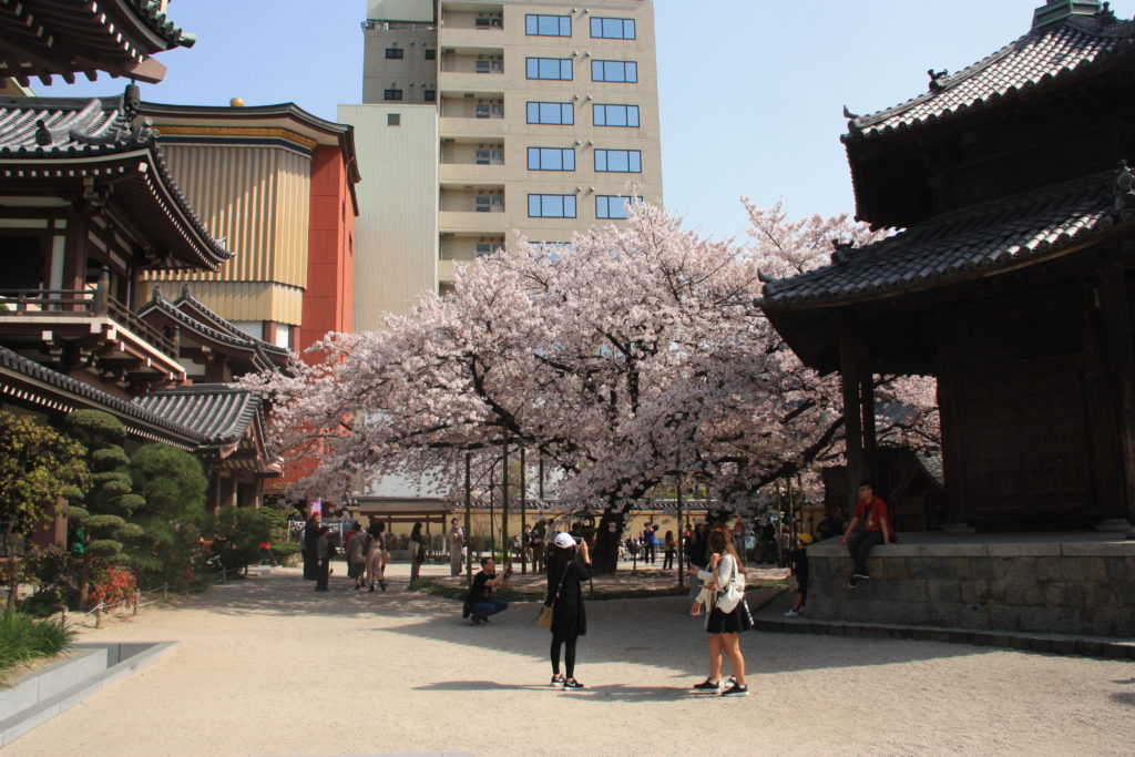 Tochoji temple | Japan KYUSHU Tourist ジャパン九州ツーリスト株式会社