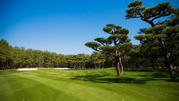 8 days Kyushu Golf tour from April 22 | Japan KYUSHU Tourist ジャパン九州 ...